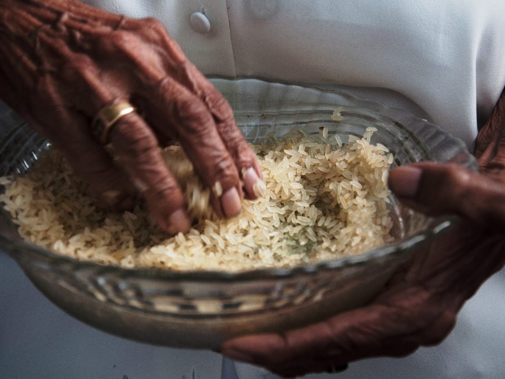 Wild rice, popular in Salvador - Blog - Discover Your South America