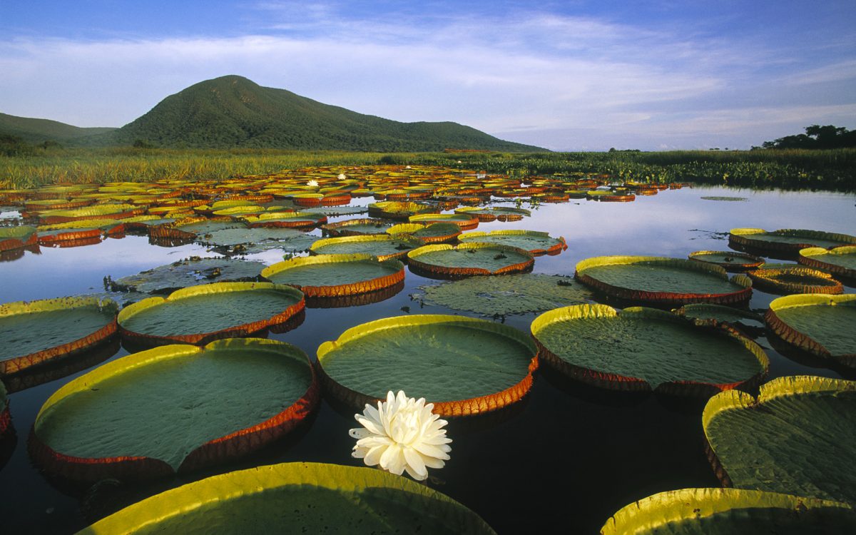 Most Beautiful Landscapes in Brazil | Discover Your South America Blog